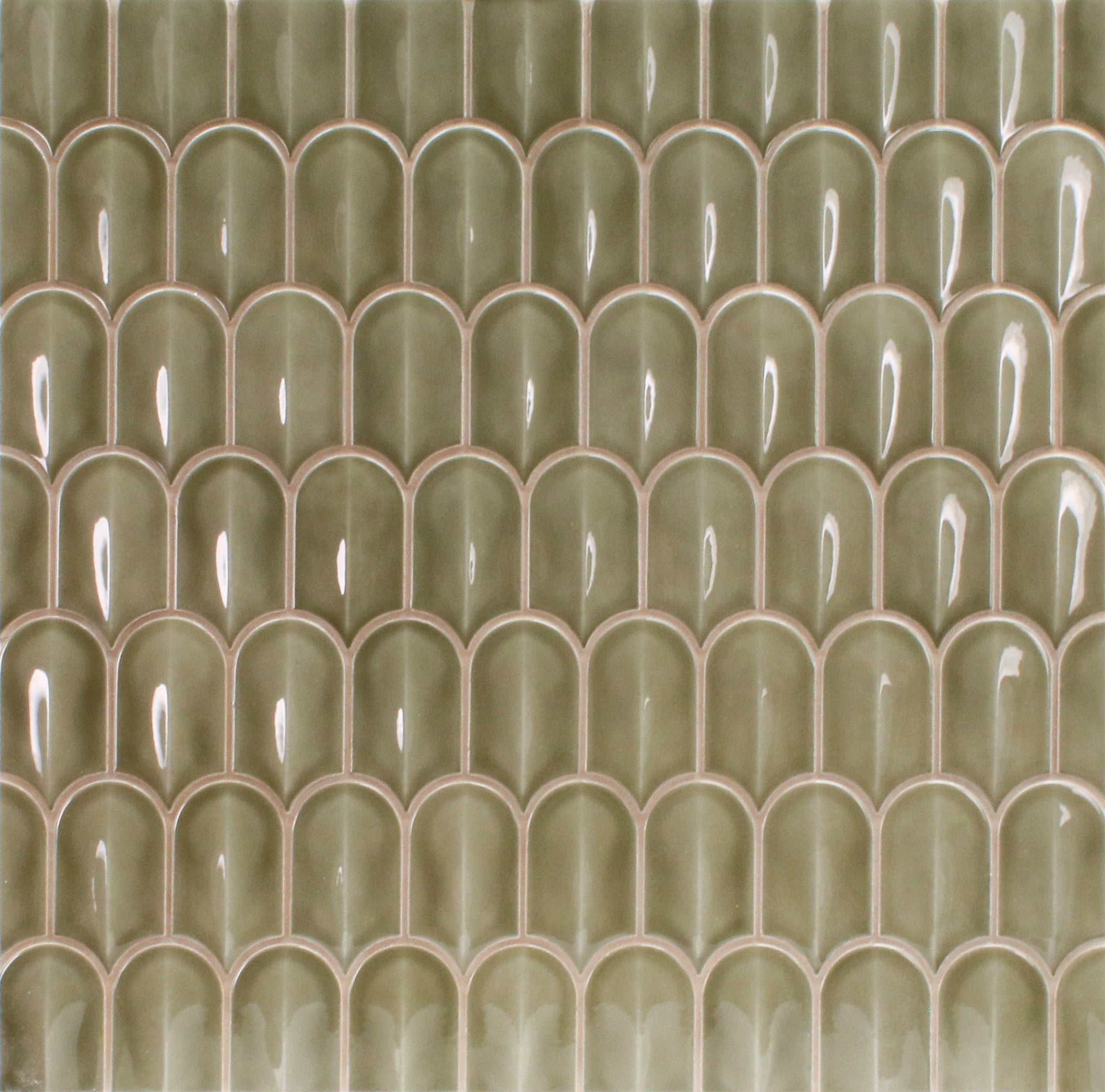 Scale in Olive Mill Gloss | Ciao Bella Tile
